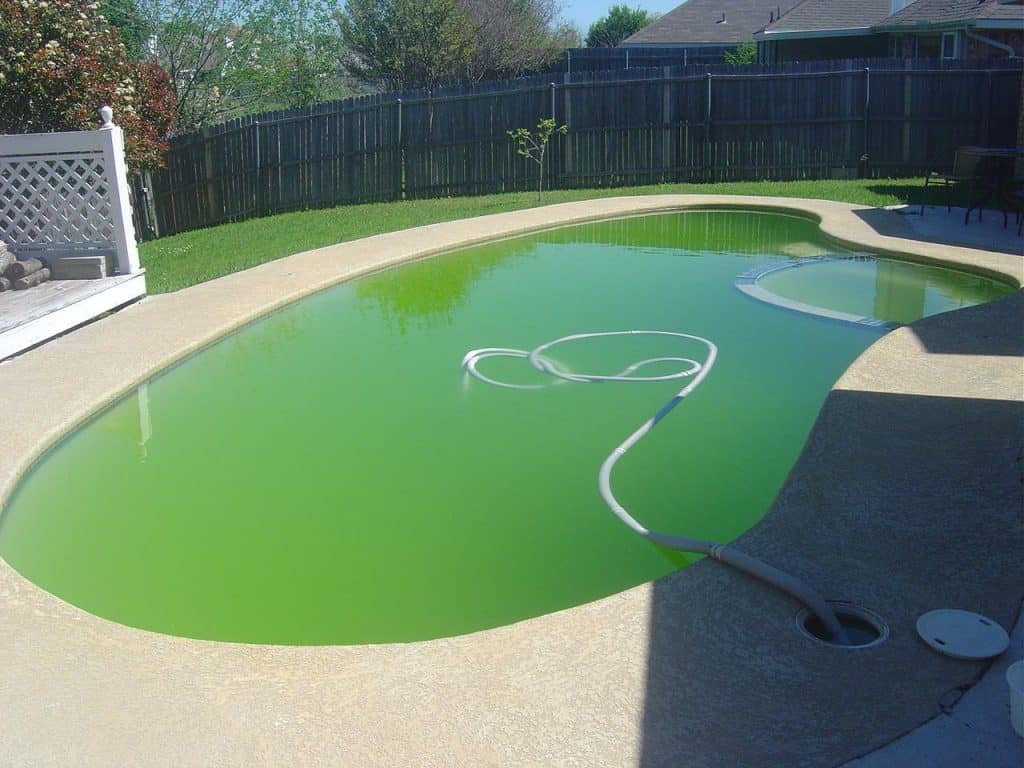 GREEN POOLS | Clean Pools